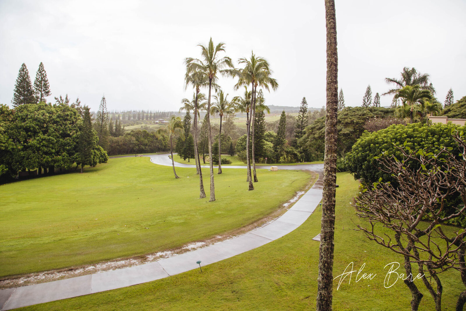 Hawaii | Northwest Arkansas Branding & Lifestyle Photographer | Alex ...